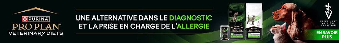 PREDNIDERM - DermaVet