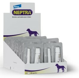Elanco lance une nouvelle présentation de Neptra - DermaVet