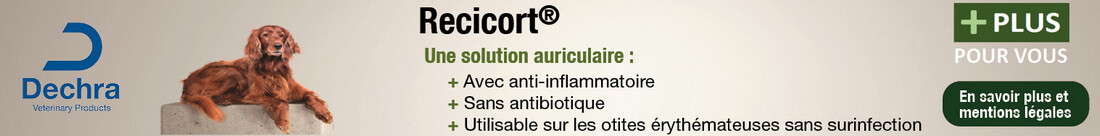 BIOCLAMOX - DermaVet