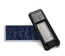 Validation of a multiplex molecular macroarray for the determination of ...