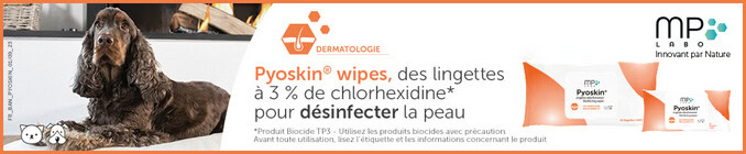 BIOCLAMOX - DermaVet