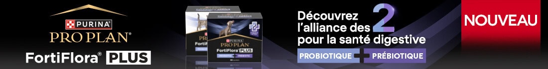 Stronghold plus chat et chaton - 3 à 6 pipettes - DermaVet