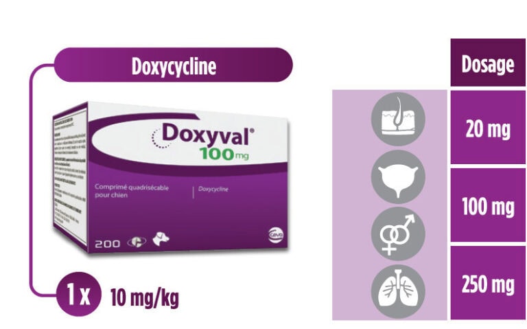 DOXYVAL - DermaVet